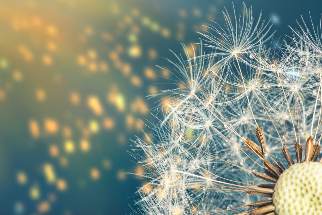 Anticipating change, with Ruth Foxe Blader